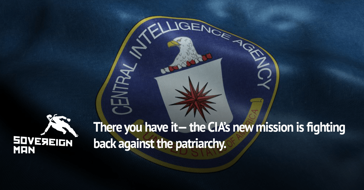 Jellyfish.NEWS - US News - CIA goes full woke in new recruiting...